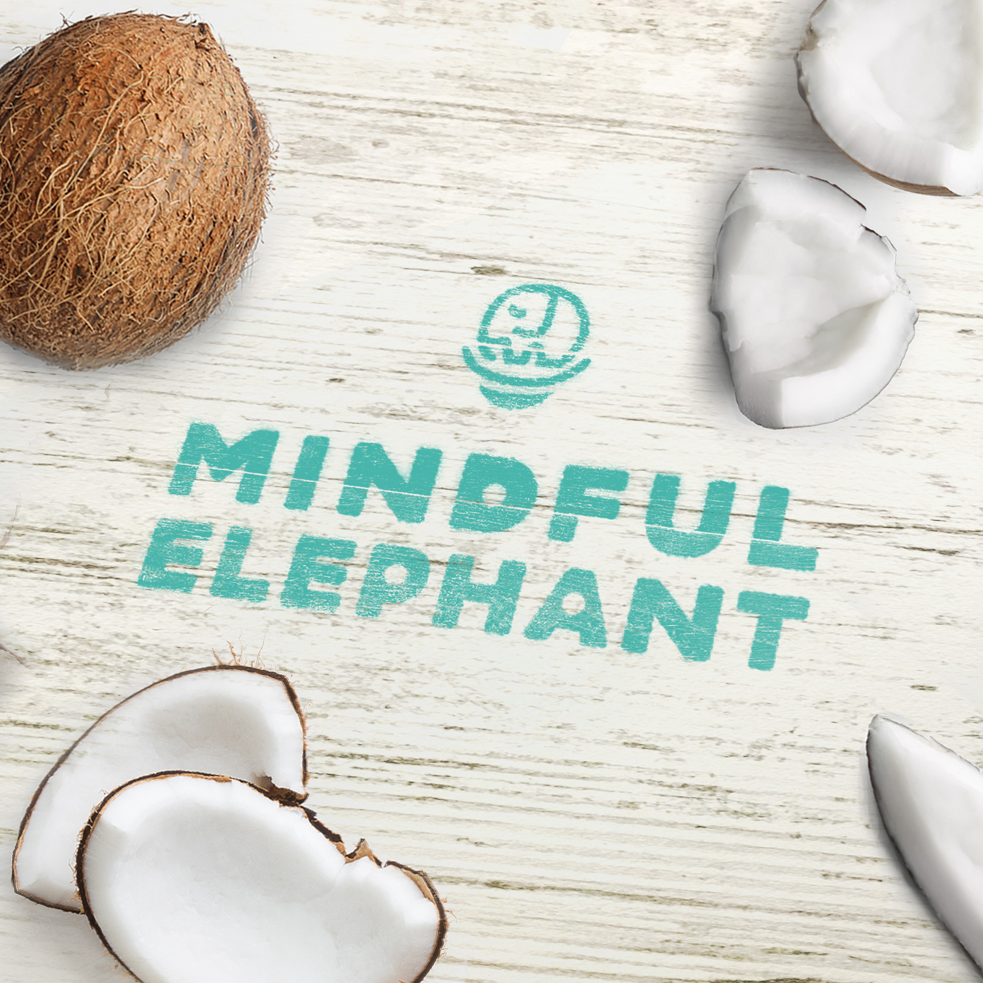 Mindful Elephant – Logo & Branding | pixel human